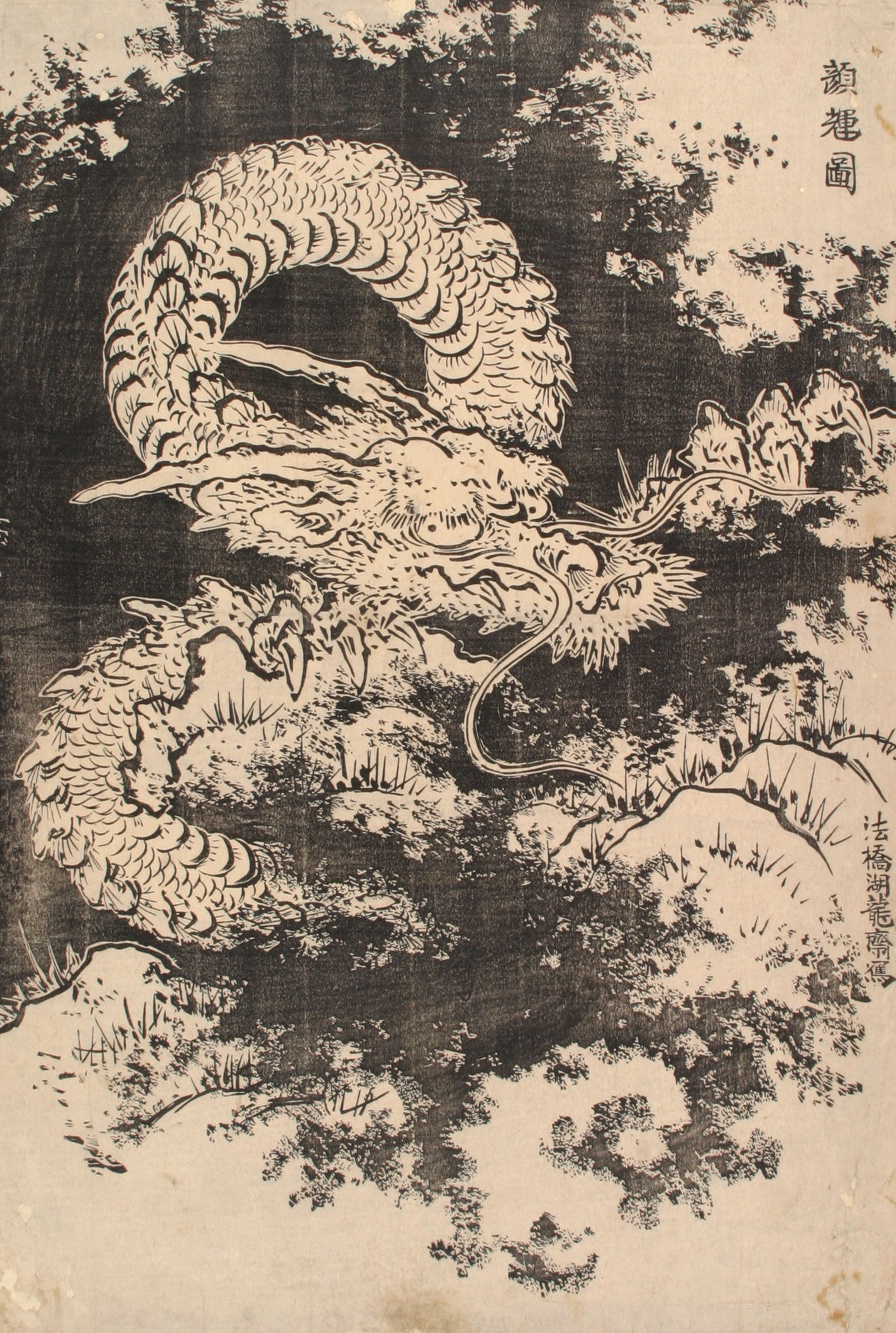 Chinese Wind Dragon