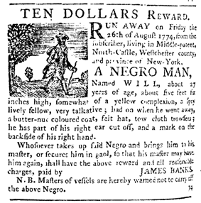 The Curse of The Slavecatchers. The horrifying… | by Dan Dildy | Medium
