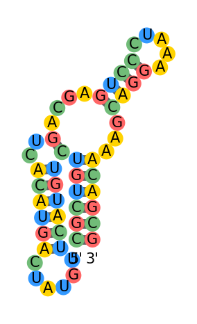 Python Package Arnie for Interacting with RNA Structures | by Abish ...