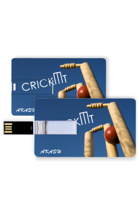 Are you familiar with customized pen drives and their specifications ...