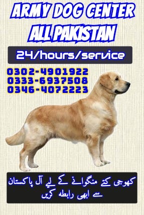 Army Dog Center dalbadin Trace Wide ® The trained sniffer dogs of Army ...