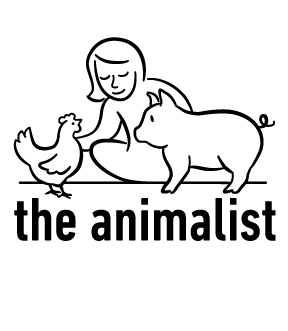 Promoting Animal Friendly Menus. Animalism in action | by The Animalist ...