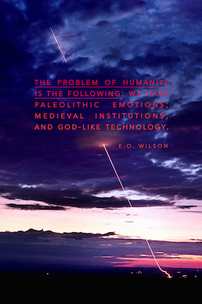 Being Human in the 21st Century #3 — Education & Social Evolution | by ...