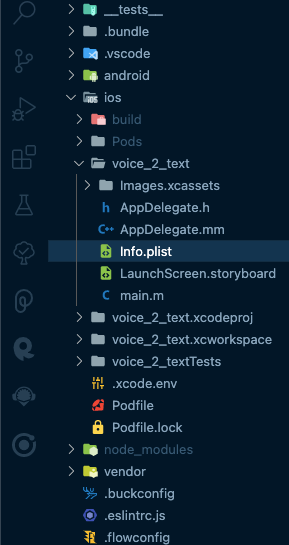 Doing Speech-To-Text With React Native | by Eze Nnaemeka | Medium