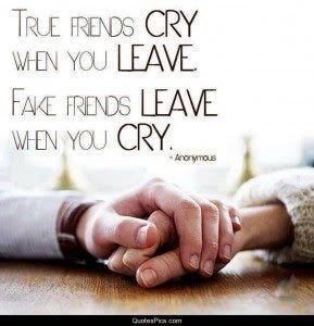 Quotes About Friends Leaving You Out