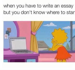Essay number #2. I choose this meme because I had… | by Gabriela ...