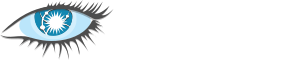 Cassandra: Distributed key-value store optimized for write-heavy ...