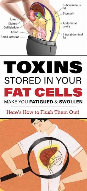 Toxins Stored In Your Fat Cells Can Make You Fatigued And Swollen. Here ...