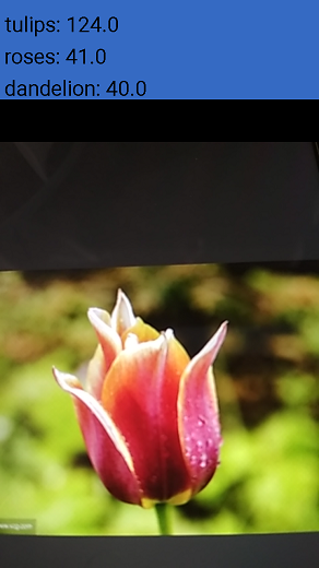 The Flower Classification on Android Platform based of the Tensorflow ...