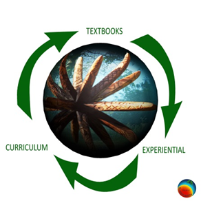 Textbooks, the Curriculum and Experiential approaches to Education for ...