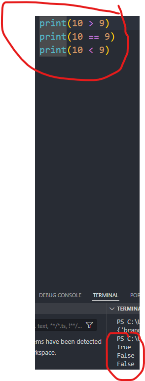 Python Data Types Boolean By Capibara Medium
