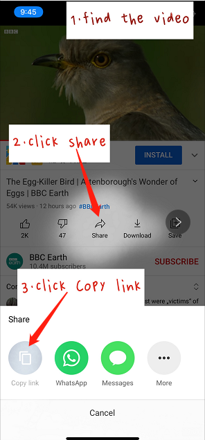 How to download Youtube Videos to iPhone Album - carol - Medium
