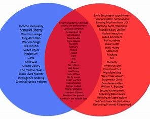 Pressing Debates in the United States | by Nicholas P Carlone | Dec ...