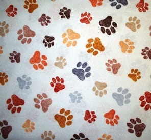 Building a Pet-Friendly House. Dear Pet Owners, | by Smith | Home ...