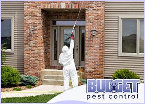 Best Pest Control Company In Denver, Colorado | by Budget Pest Control ...