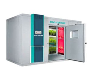 Walk-In Plant Growth Chambers: The Ultimate Solution for Cultivating ...