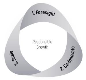 RESPONSIBLE GROWTH: New Paths for Courageous Companies | by Uwe ...