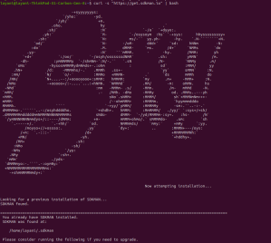 Use Multiple Java versions using SDKMAN | by Layani Malsha | May, 2023 | Medium