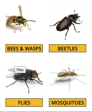 Pest Control Service in DC. Hire best pest control services in DC… | by ...