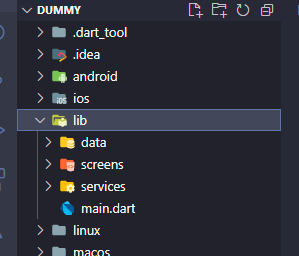 Organize your Flutter App like a Pro - Umarbaloch - Medium