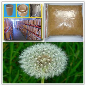 The role of dandelion extract. Dandelion extract is used to treat… | by ...