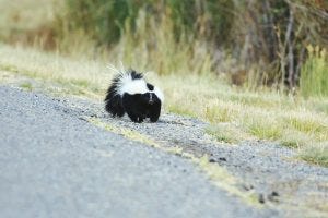 3 Reasons Your B2B Marketing Reports Stink and How to Fix Them | by ...