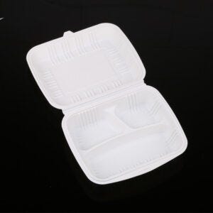 The Rise of Eco-Friendly Disposable Lunch Boxes: A Sustainable Solution ...