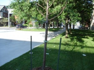 Annette St & Keele St NW corner redevelopment of TTC loop | by ...