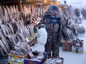 Yakutsk Stone Forest: Where Beauty and Danger Meet | by ROYAL CREATION ...