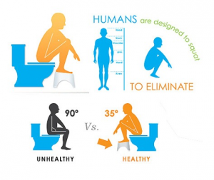 Potty Training : A Parenting Tool to Help Avoid Pediatric Constipation ...