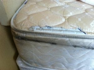All About Mold On Mattresses. Not only is mold disgusting, but it can ...