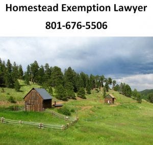 Declaration of Homestead | by Vivian Arner | Medium