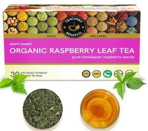 Organic Raspberry Leaf Tea. Introduction | by Viniodkojko | Oct, 2023 ...