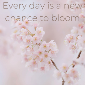 Every day is a new chance to bloom. | by Fiona Pimentel | Medium