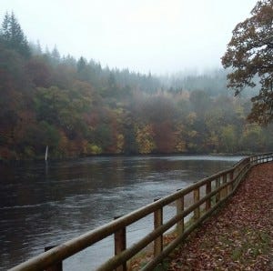 How to Be Motivated to DO BETTER. I’ve been reading and thinking a lot ...