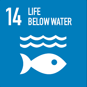 Geospatial Technology: A Lifeline for Achieving UN SGD-14 Life Below ...