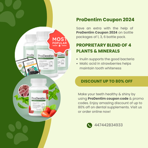 ProDentim Coupon 2024: Oral Health Supplements (A Ultimate Guide) | by ...