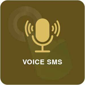 #1 Voice SMS Services Provider | Secure Voice Base OTP - SMS GATEWAY ...