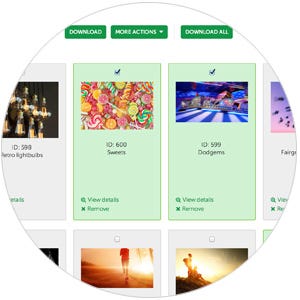 How To Use Asset Bank’s Image Library Software | by Bright | Medium