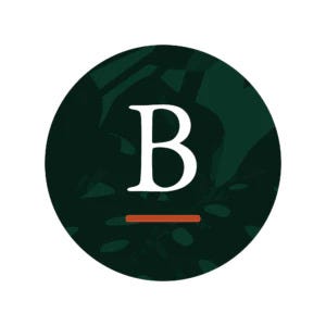Buy Sweet Orange and Coconut Lip Balm Online | Bali Balm - Balibalm ...