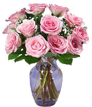 The Enchanting Rose: Exploring the Symbolism and Beauty of June’s Birth ...