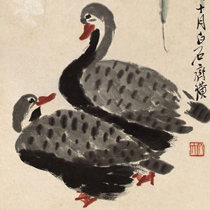 The duck and the doctor. How the doctor’s prescription upsets… | by ...