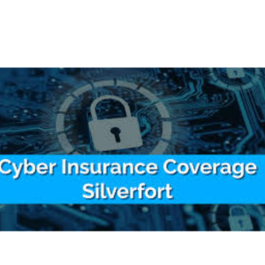 cyber insurance coverage silverfort | by Sikariatech Blog | Apr, 2024 | Medium