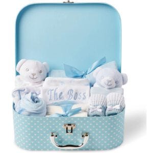 Budget-Friendly Blue Teddy Bear That Are Still Thoughtful - Baby Box ...