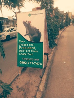 Rats from hell they are.. http://www.musingsamplified.com/2017/10 ...