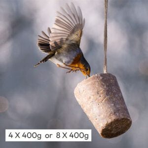 Suet Blocks in Winter: How to help birds survive the colder months ...