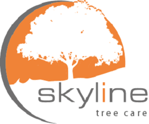 Skyline Tree Care. Skyline Tree Care have 20 years… | by Skyline Tree ...