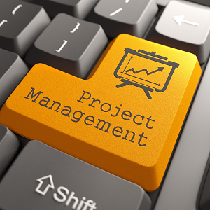 The Benefits of Using Project Management Software for Remote Teams | by ...