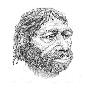 Neanderthal Face Drawing