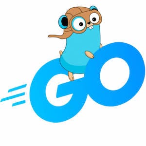 Writing a Data Transformation Pipeline Using Go | by Nícholas Carballo ...